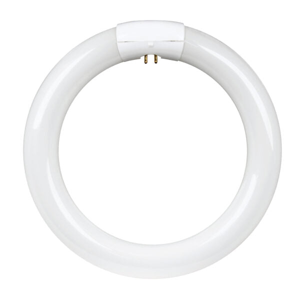 Feit Electric 22-Watt Cool White Fluorescent Circular - Petersburg, VA ...